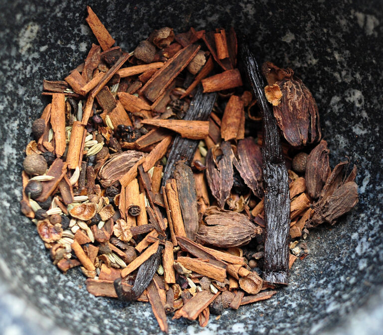 Warmly Spiced Bitters - Leanne Brown - Somatic Therapist